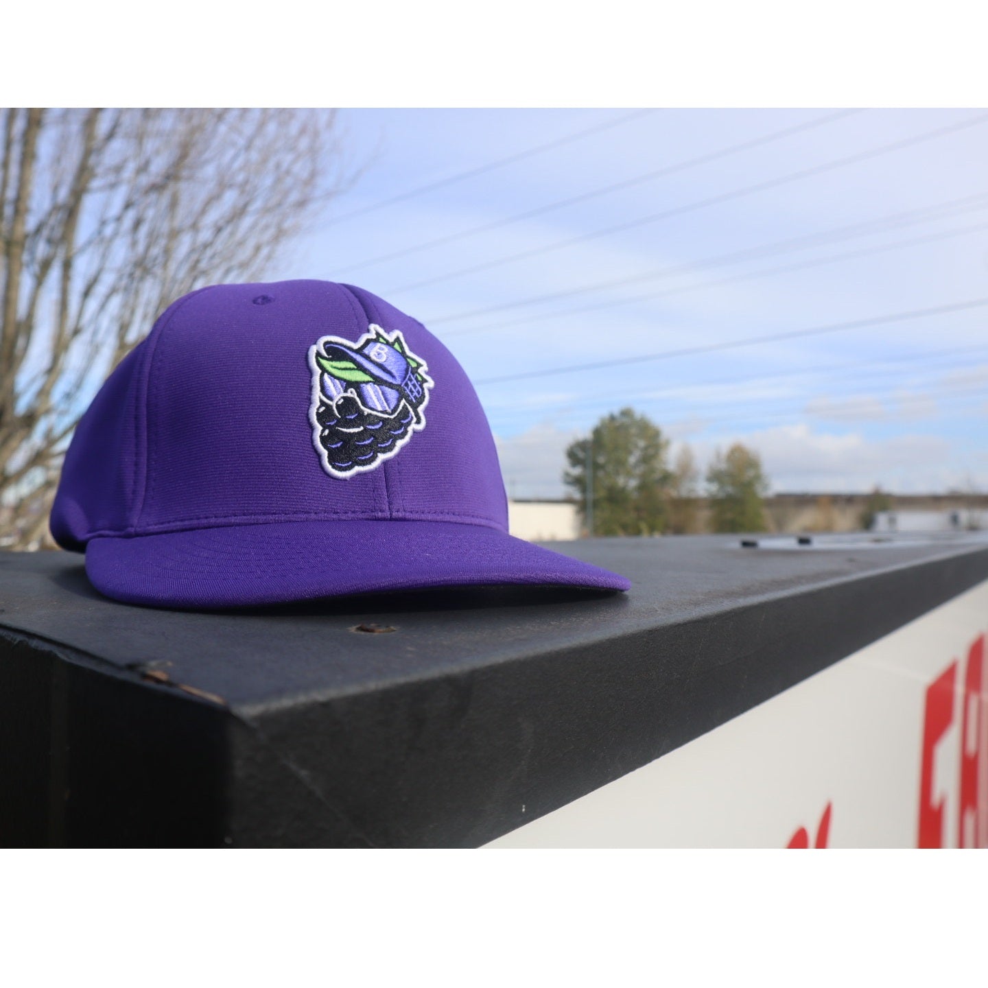 Purple Dingle Player Cap – Marion Berries Baseball